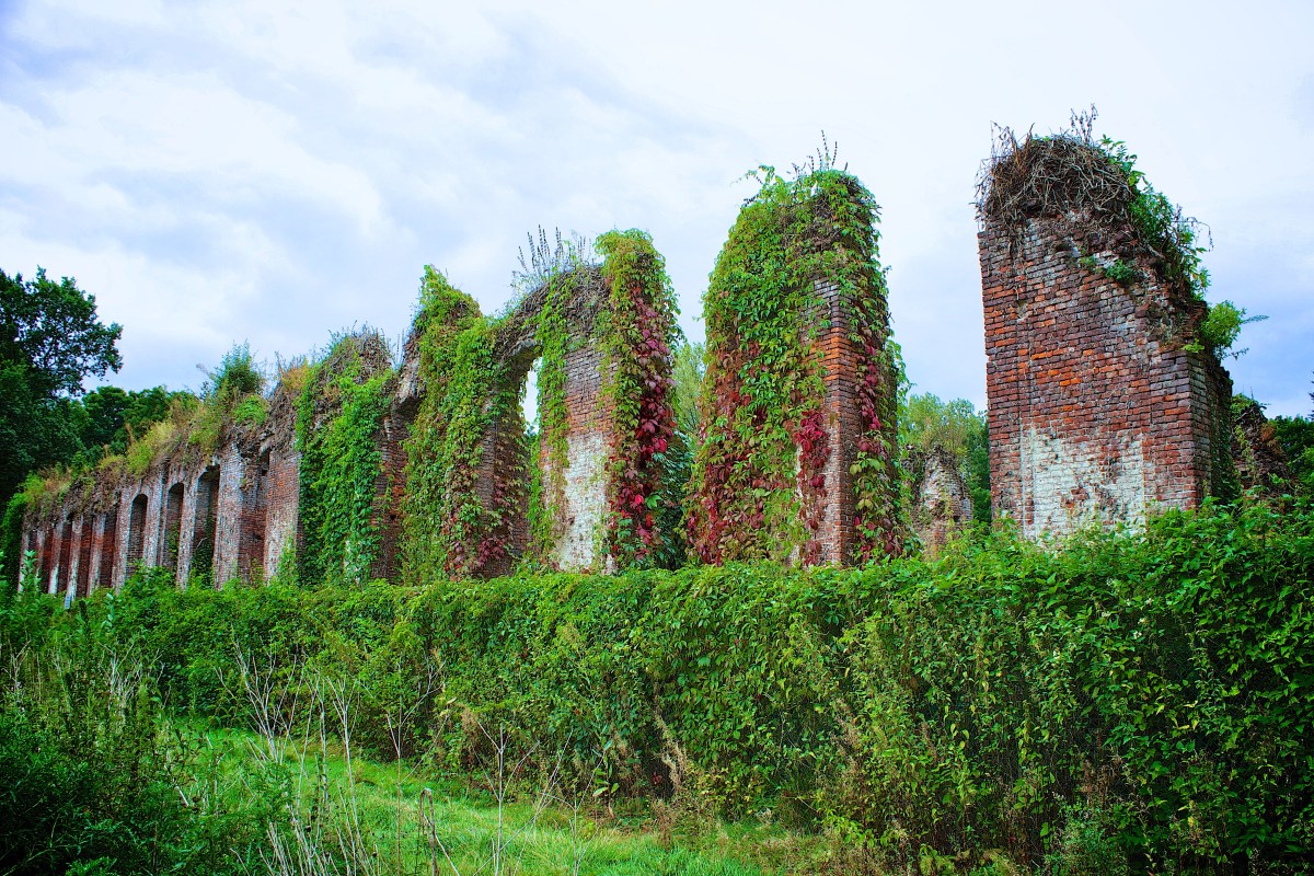 Autres merveilles intégrées – Splendeurs du parc de Mariemont